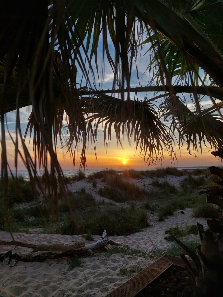 How To Take Yourself on a Date – Rules & 20 Easy Ideas - The Princientist